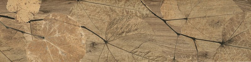 FI 9 Noce - Foreste D\'Italia Collection - Porcelain gres tiles ...